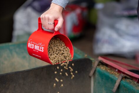 10 Rules of Feeding - RED MILLS KSA ENGLISH