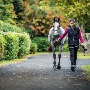Préparation de yearling à la vente Partie 1 | RED MILLS