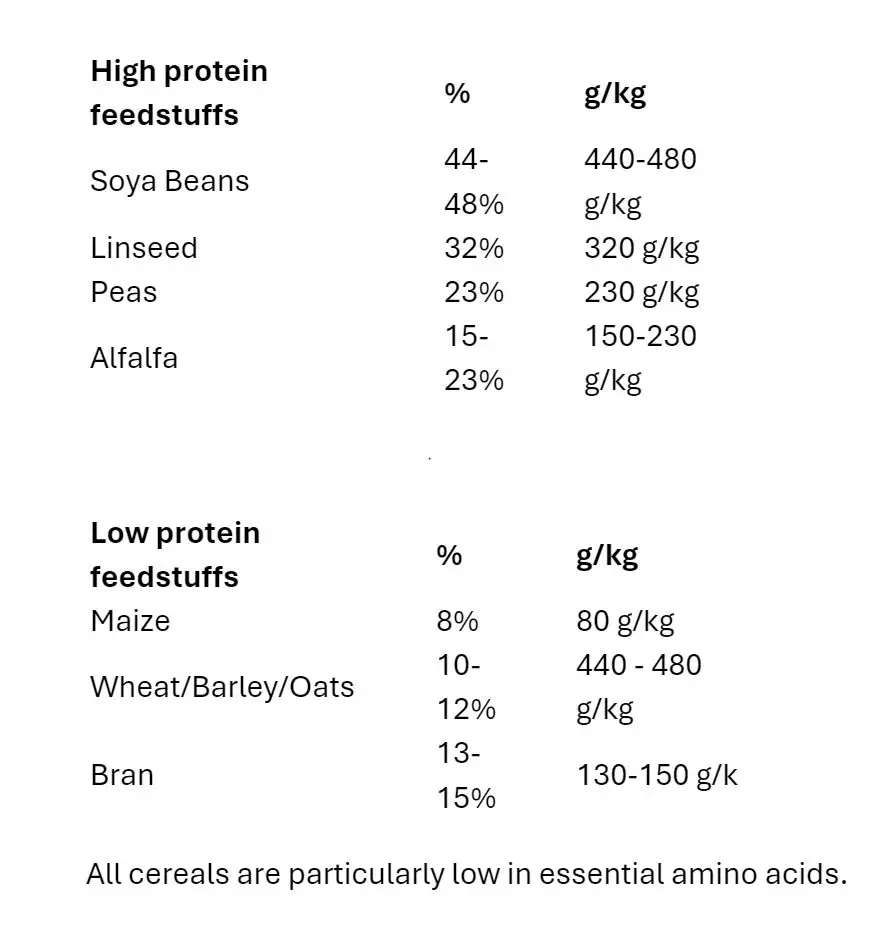 The Importance of Protein in the Horse's Diet | Red Mills Horse
