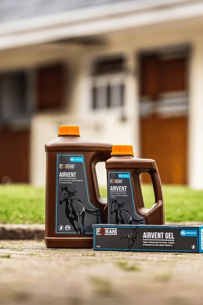 Supporting a Healthy Immune System in Horses | Key Nutritional Strategies